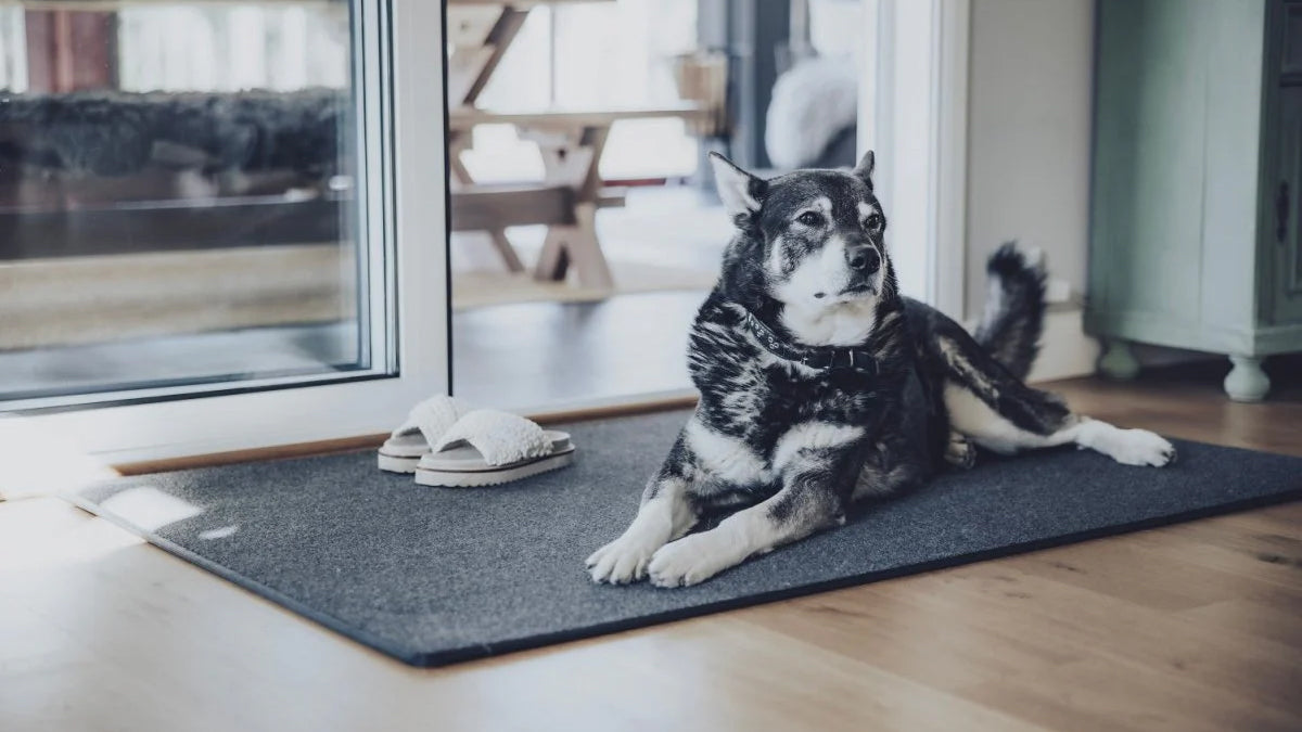 Termomatto valmiiksi leikattuna ja metritavarana.